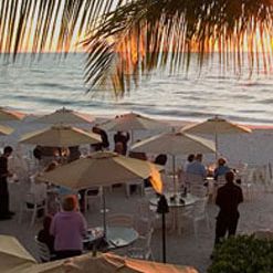 The Turtle Club - Naples - Updated 2025, Seafood Restaurant in Naples, FL