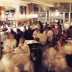 Mateo Bar de Tapas Restaurant - Durham, , NC | OpenTable