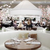 Alloy Restaurant - Calgary, AB | OpenTable