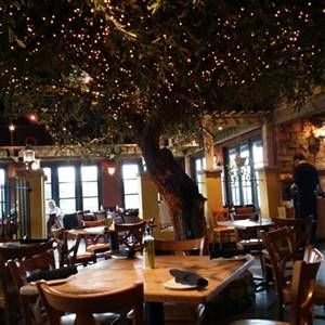 Restaurant Bella Notte - Lexington, , KY | OpenTable