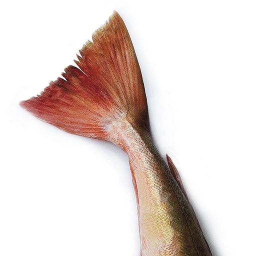 Restaurante Landgate Bistro - Rye, East Sussex | OpenTable