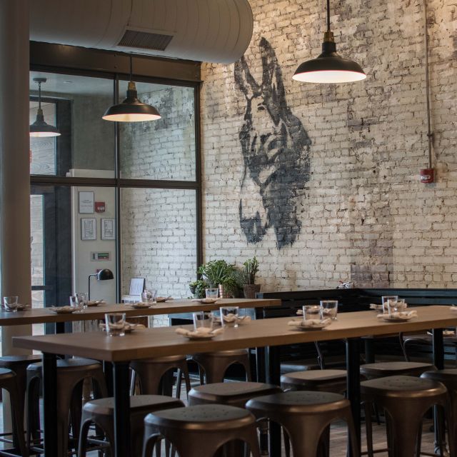 Little Donkey Restaurant - Cambridge, MA | OpenTable