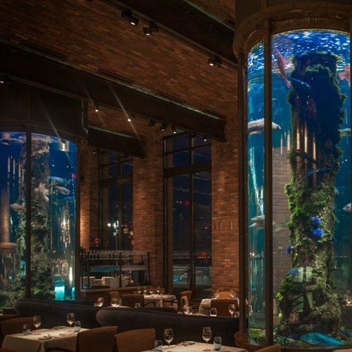 Restaurant Waterbar - San Francisco, , CA | OpenTable