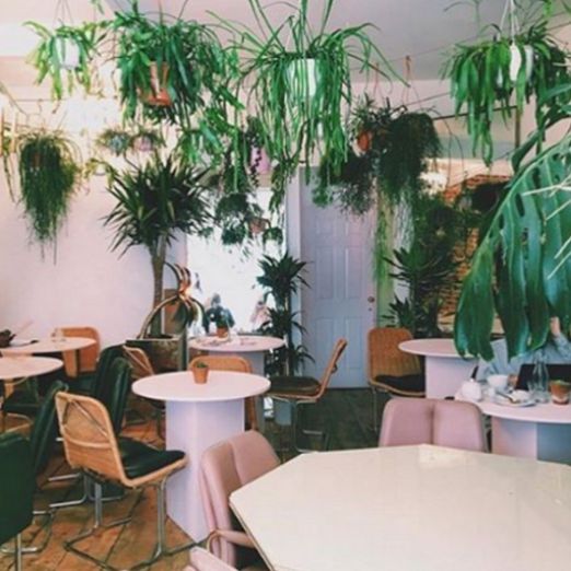 Palm Vaults - Updated 2024, Café in London