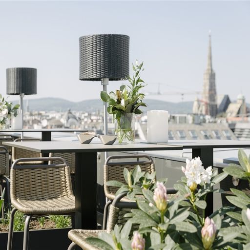 Atmosphere Rooftop Bar - The Ritz-Carlton, Vienna - Updated 2025 ...