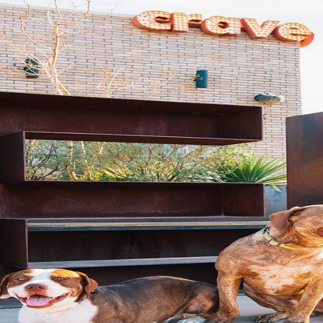 Plaza Theatre Broadway Pop Up Crave Kitchen and Bar Restaurant - El ...