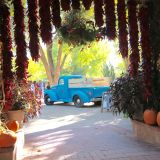 The 10 Best Restaurants Near Me in Rio Rancho, NM | OpenTable