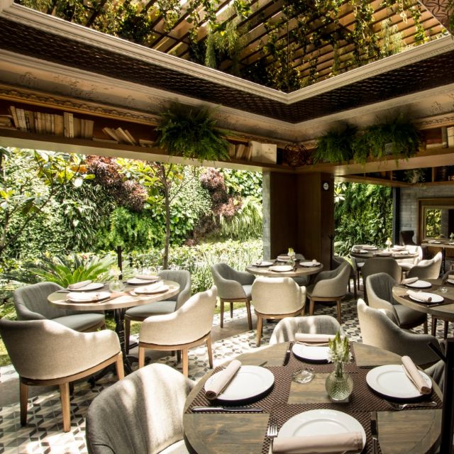 Sylvestre - Polanco Restaurant - México, CDMX | OpenTable
