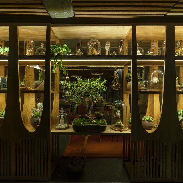 Xaman Bar - Ciudad de México, CDMX | OpenTable