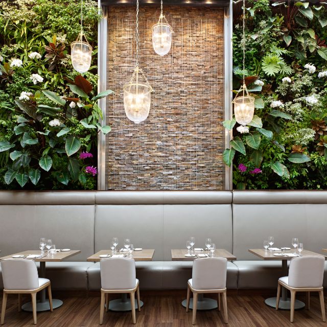 Sassafraz Restaurant - Toronto, ON | OpenTable