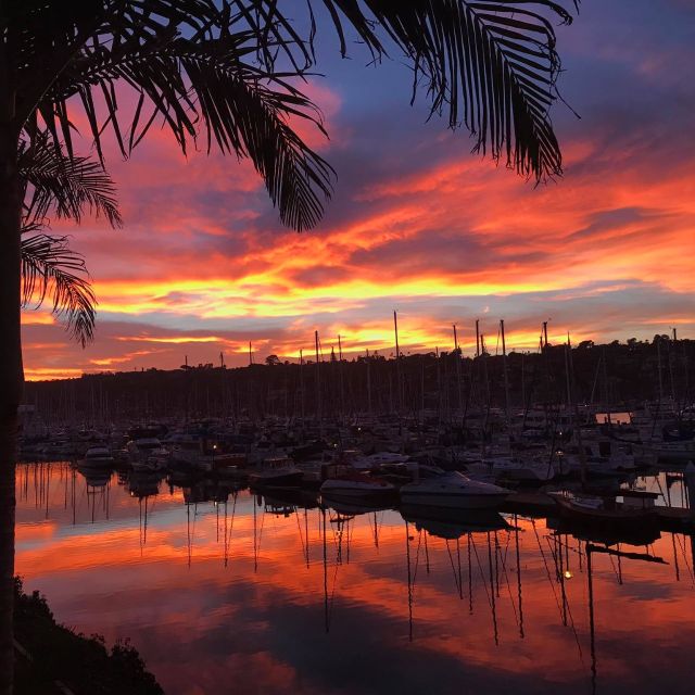 Restaurant Blue Wave Bar and Grill - San Diego, , CA | OpenTable