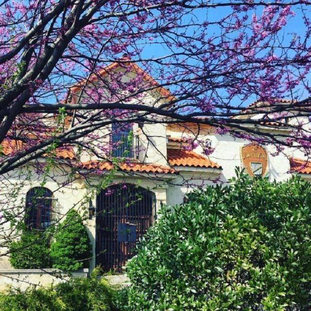 El Serrano - Lancaster - Updated 2025, Latin American Restaurant in ...