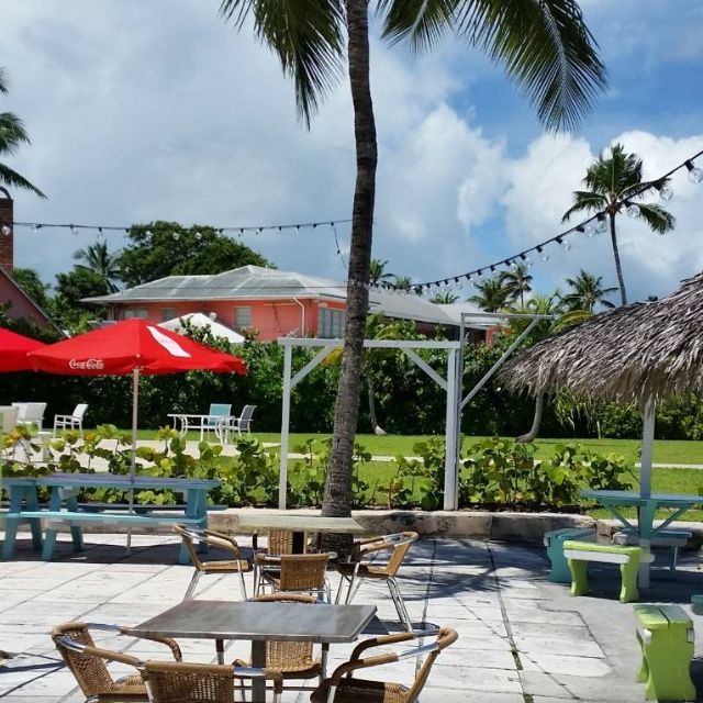 The Green Parrot - Harbour Front - Updated 2025, Caribbean Restaurant ...