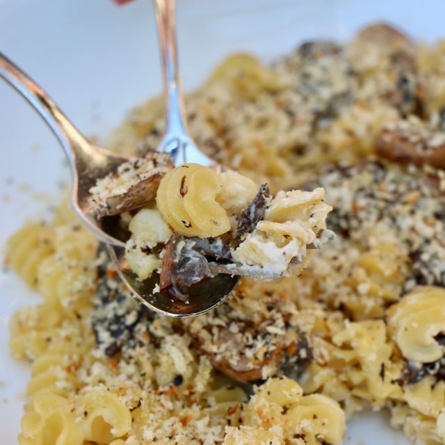 Ariccia Cucina Restaurant - Auburn, AL | OpenTable