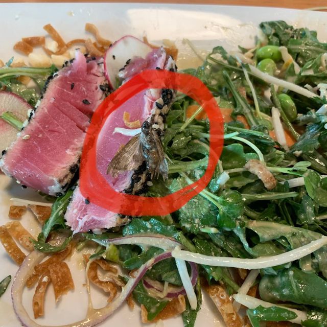 WildFin American Grill - Vancouver Restaurant - Vancouver, WA | OpenTable