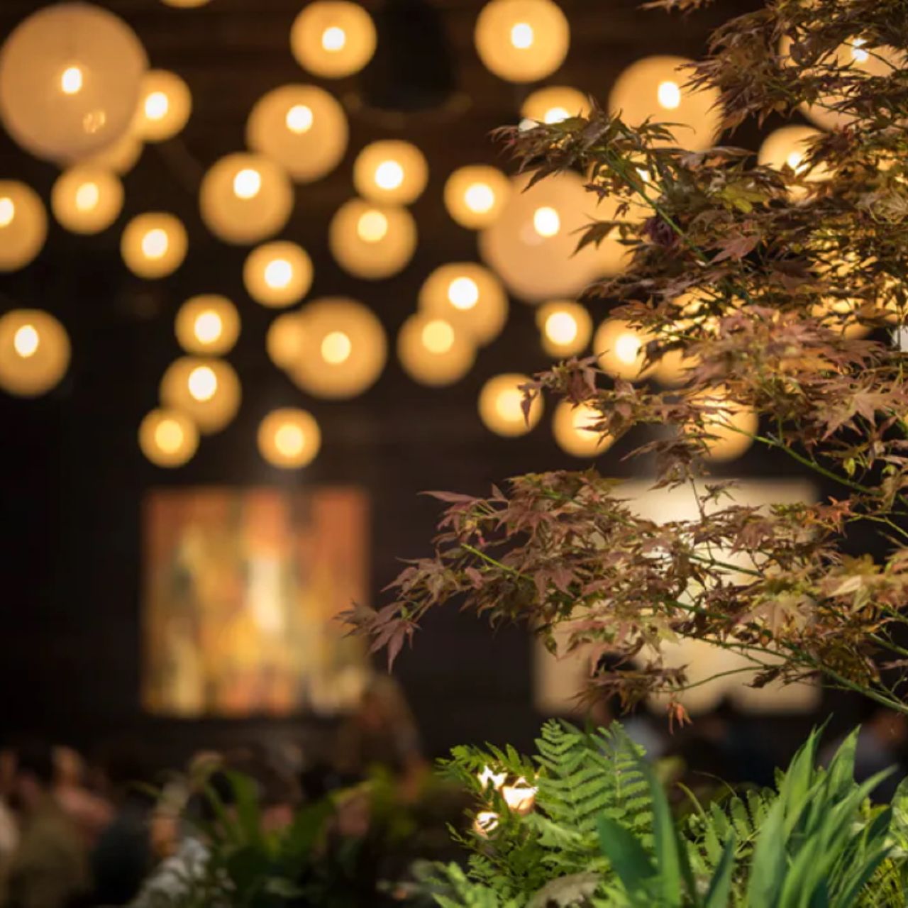 Lindsay Hanlon's Instagram, Twitter & Facebook on IDCrawl