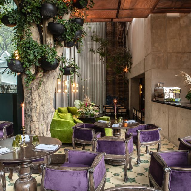 Restaurante Filigrana - Ciudad de México, CDMX | OpenTable