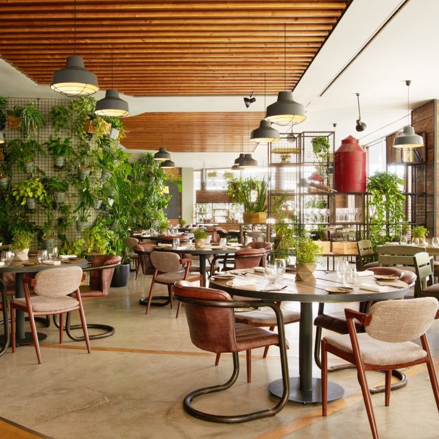 Erva Restaurante & Bar - Updated 2024, International Restaurant in ...