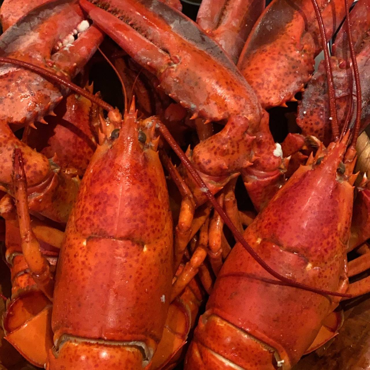 Kitchen 305 Weekly Specials | Besto Blog