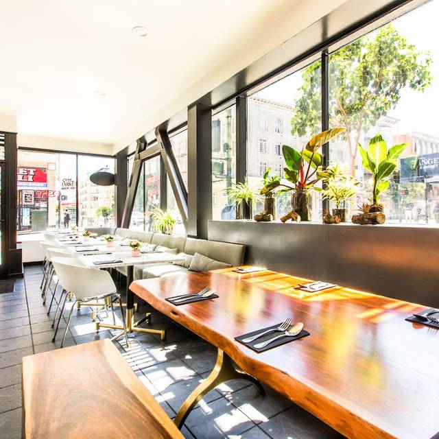 Osha Thai Noodle Cafe on Geary - Updated 2025, Thai Restaurant in San ...