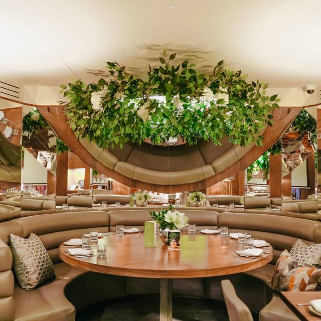 LayaLina - Updated 2025, Lebanese Restaurant in London