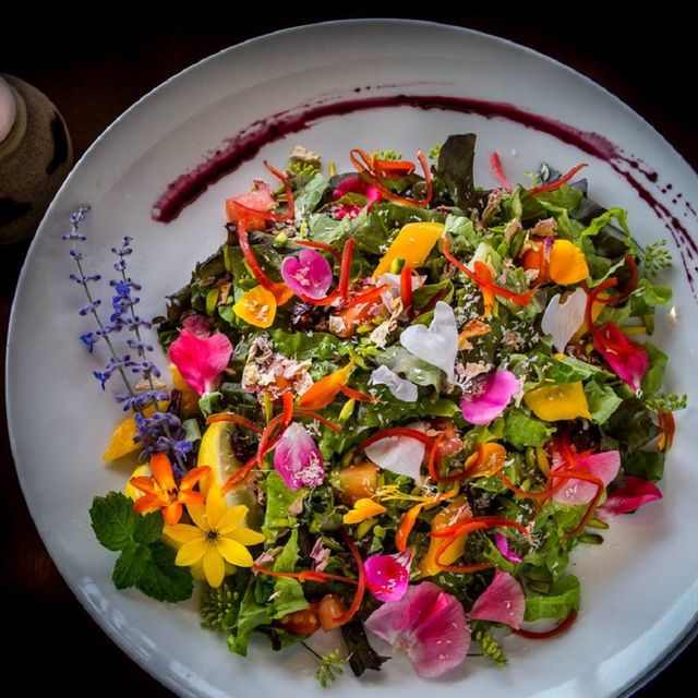 Siddharthas Indian Kitchen - Updated 2025, Indian Restaurant in ...