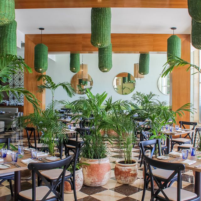 Sea Olive - The Fives Beach - Updated 2025, Contemporary French ...