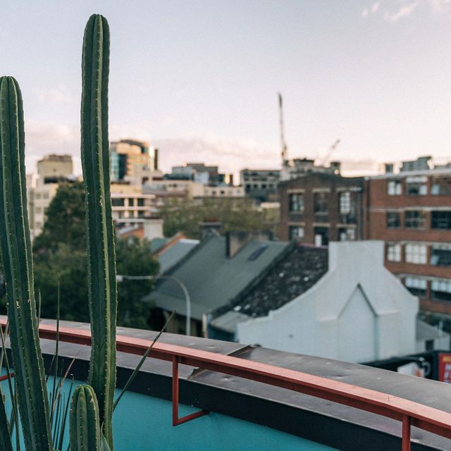 Paramount Recreation Club - Updated 2024, Modern Australian Restaurant ...