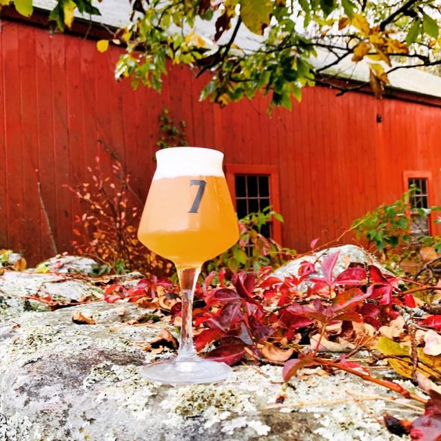 Seven Saws Brewing - Updated 2025, Brewery in Holden, MA