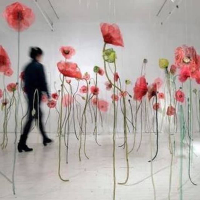 Common Good Cafe Restaurant - Barrie, , ON | OpenTable