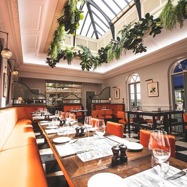 Saint Jacques Restaurant - London | OpenTable