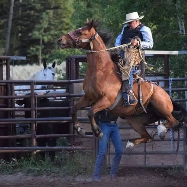 Meadow Vue Ranch Restaurant - Island Park, ID | OpenTable