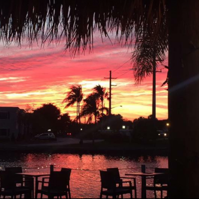 Brew Fish Bar and Grill - Mis à jour en 2024, Restaurant Fruits De Mer ...