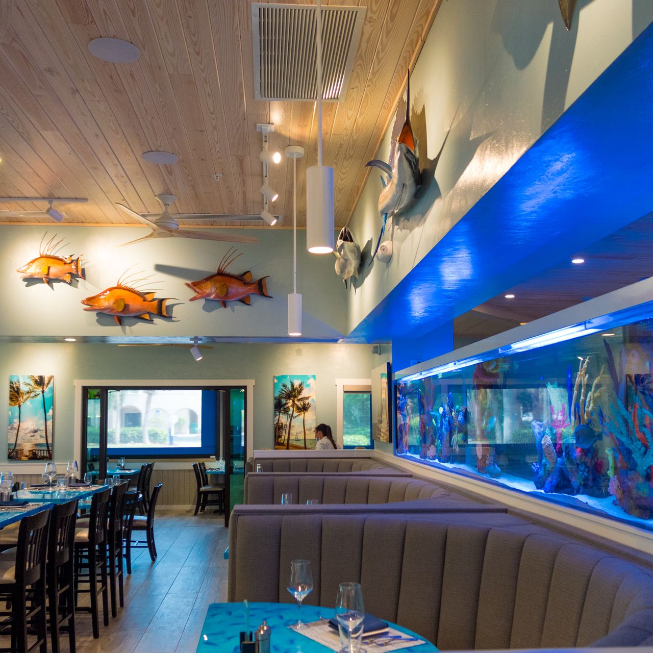 deep lagoon dress code | Dresses Images 2025