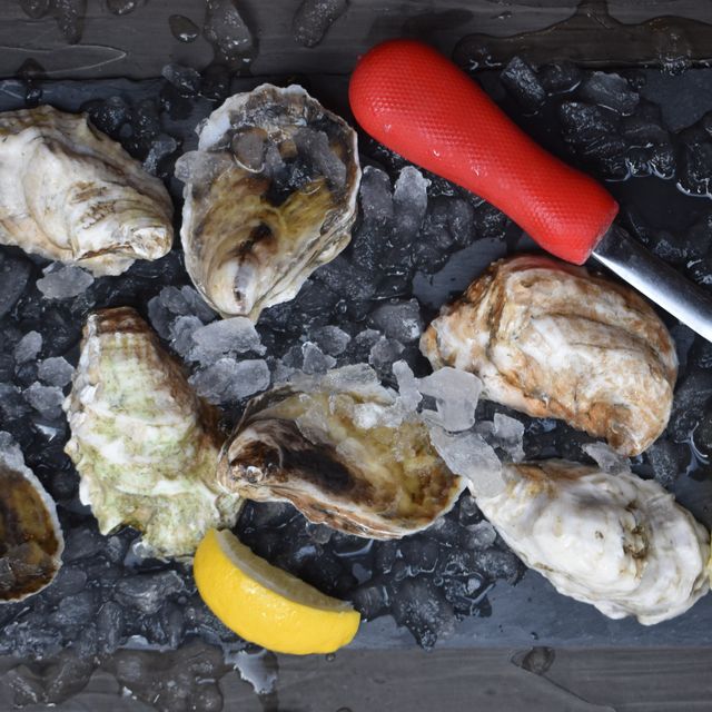 Fin Point Restaurant - Boston, MA | OpenTable