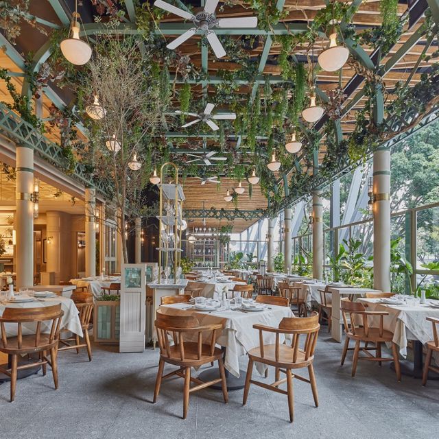 Negroni - Midtown Restaurant - Guadalajara, JAL | OpenTable