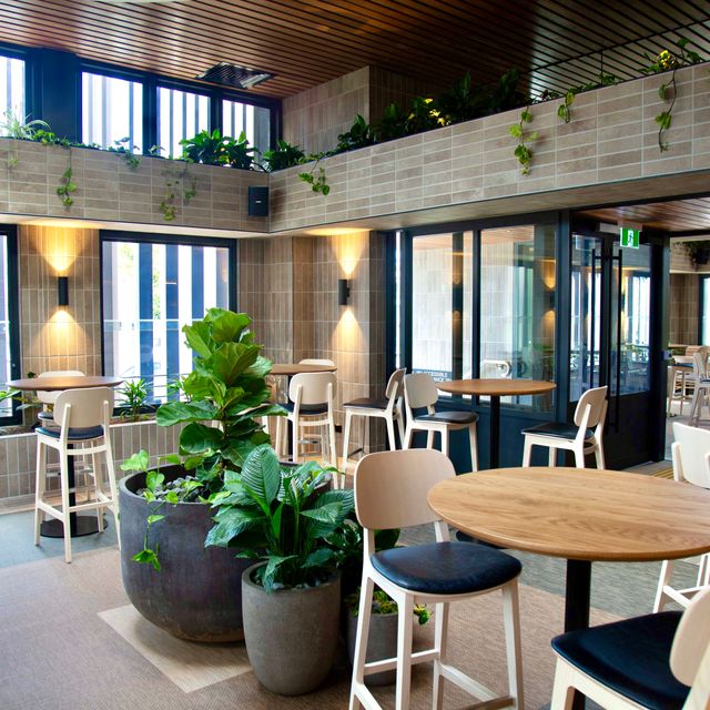 Mermaid Beach Tavern - Actualizado 2024, Bistro en Mermaid Beach, AU-QLD