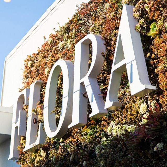 Restaurante Flora Rooftop Bar & Lounge - El Segundo, , CA | OpenTable