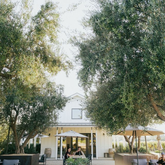 Restaurante Biddle Ranch Vineyard - San Luis Obispo, , CA | OpenTable