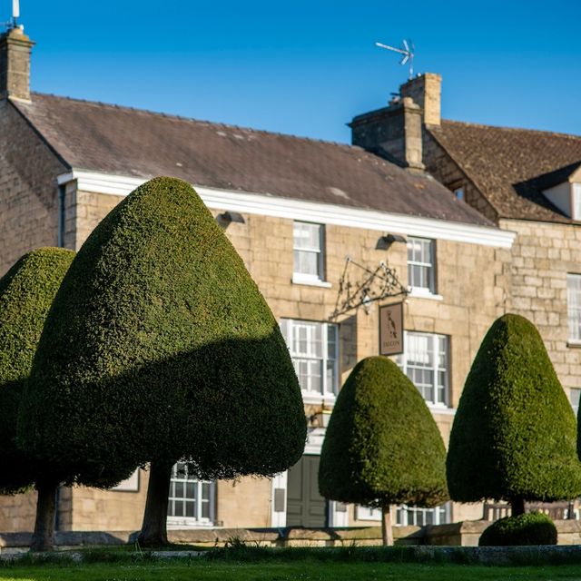 Falcon - Updated 2024, Gastro Pub in Stroud, Gloucester