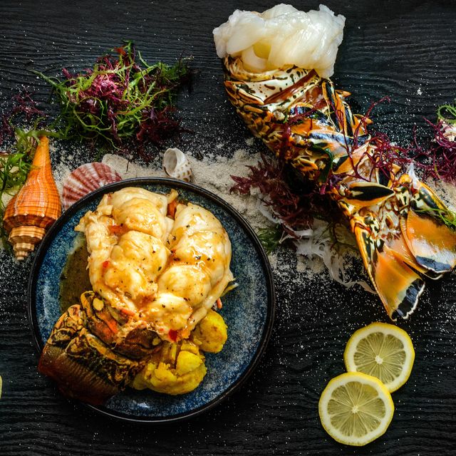 Indigo Restaurant - Providenciales, Turks and Caicos | OpenTable