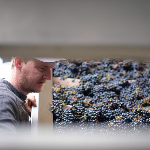 Restaurante Covington Cellars - Woodinville, , WA | OpenTable