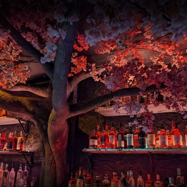 Restaurant Baby Dragon Bar Newtown - Newtown, AU-NSW | OpenTable