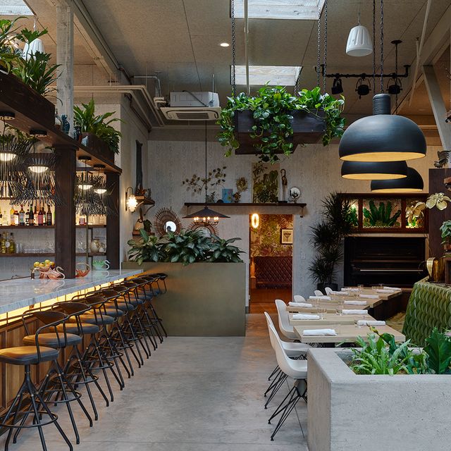 Fern Bar Restaurant - Sebastopol, CA | OpenTable