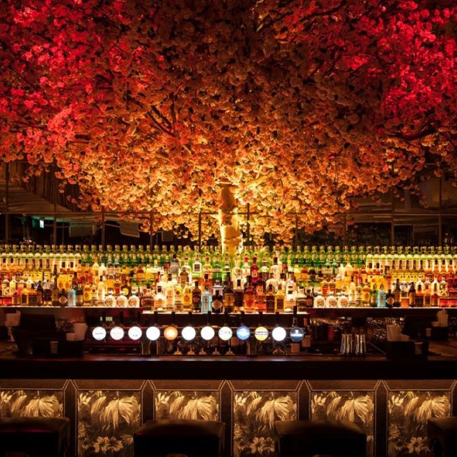 House Belfast Restaurant - Belfast, Belfast | OpenTable