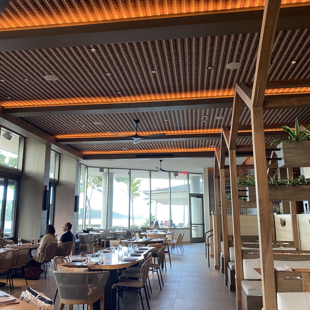 Alaia Oahu Hot Sale | cozeliving.com