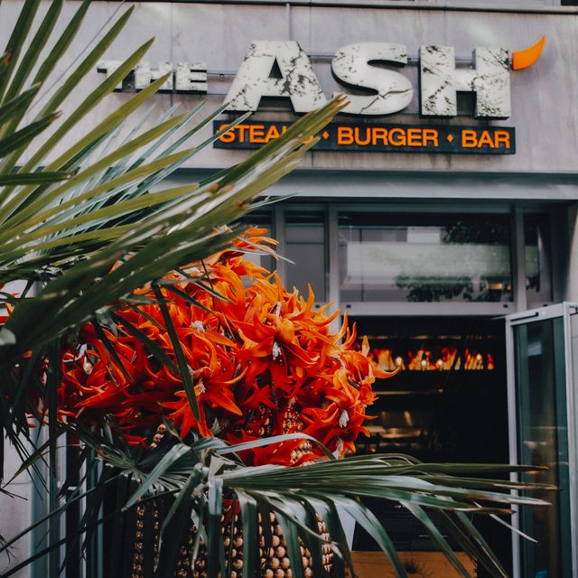 The ASH Essen Restaurant - Essen, NW | OpenTable