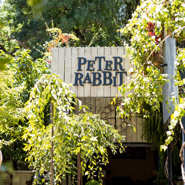 Peter Rabbit - Adelaide, AU-SA | OpenTable
