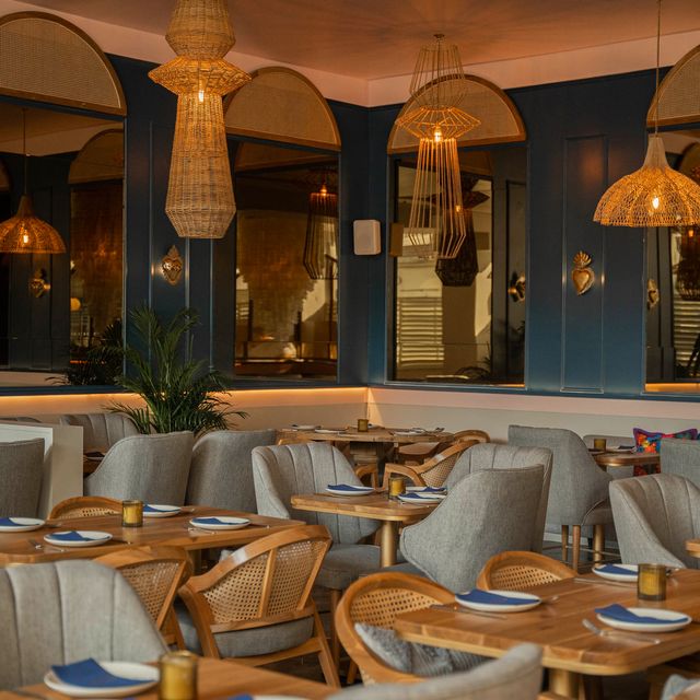 Mestizo Chelsea - Mexican Restaurant - London, Greater London | OpenTable