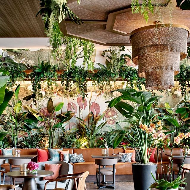 Mamey Miami Restaurant - Coral Gables, , FL | OpenTable